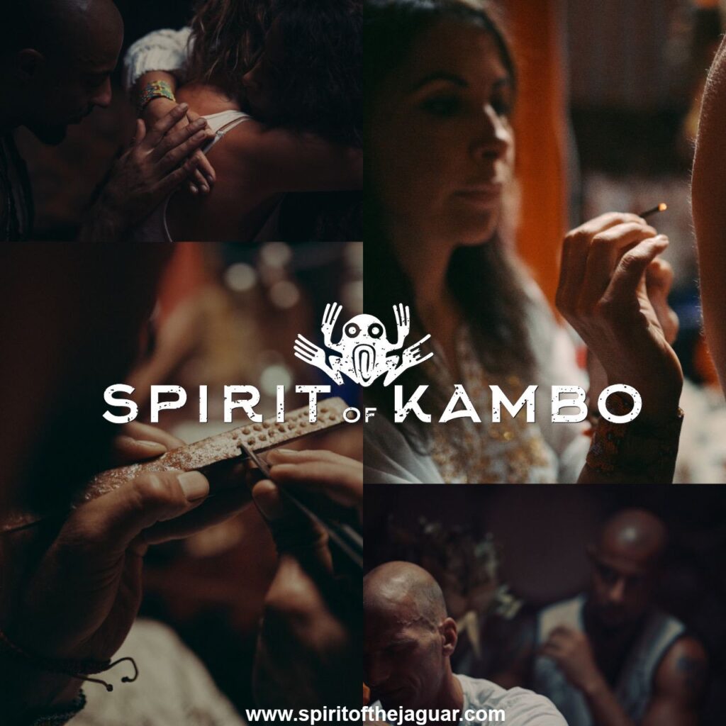 Kambo Private Session 1 to 3 days | Amsterdam, 1 day